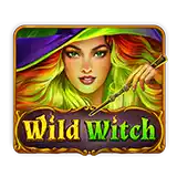 Wild Witch Slot Machine - Play free slots on Gambino